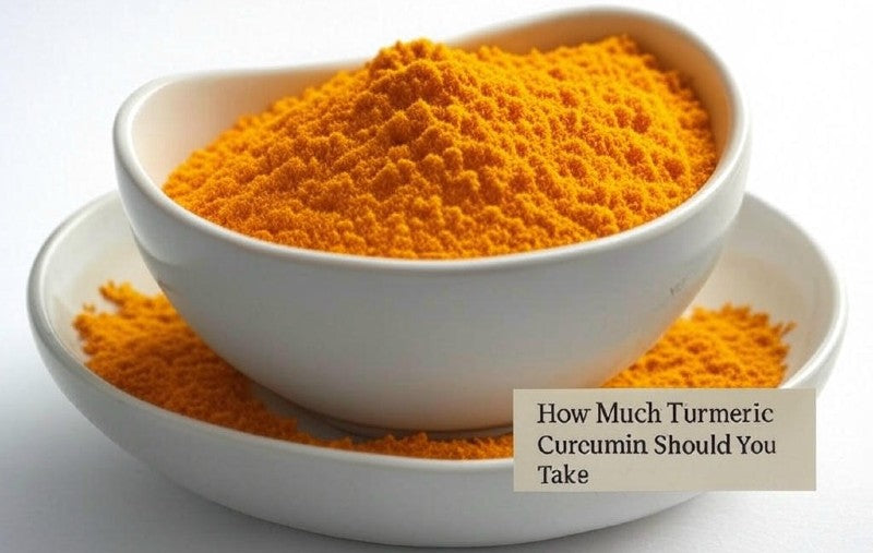 How Much Turmeric Curcumin Should You Take? | Me First Living